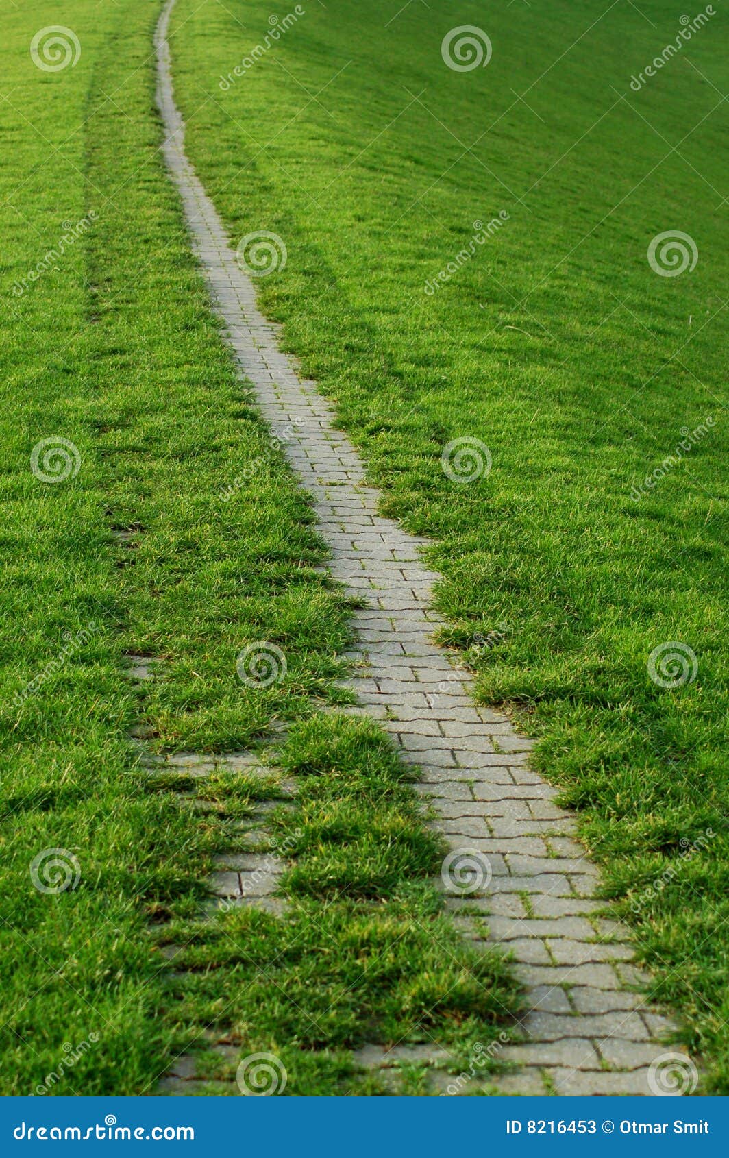 Long footpath stock image. Image of field, footpath, meadow - 8216453