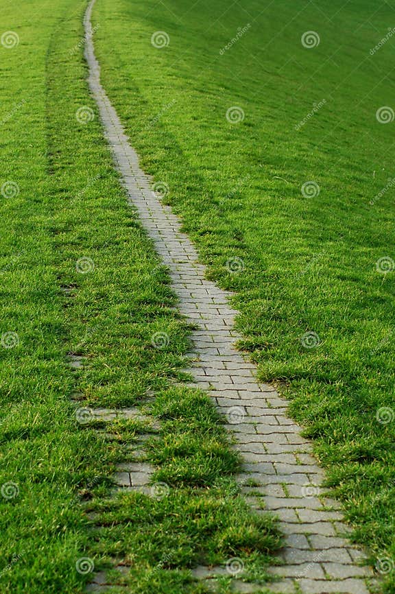 Long footpath stock image. Image of field, footpath, meadow - 8216453