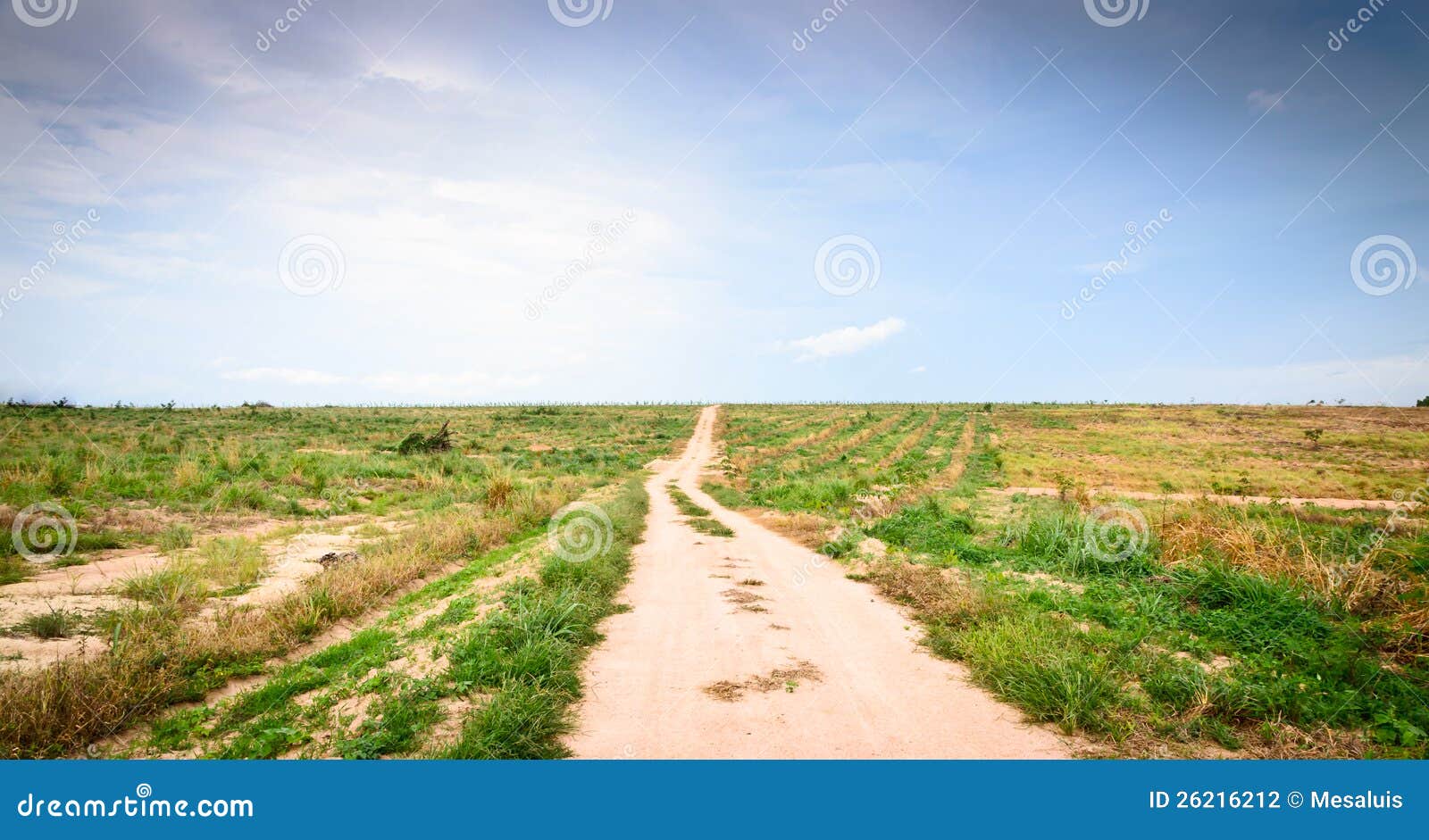 Long footpath to horizon stock photo. Image of long, outdoors - 26216212