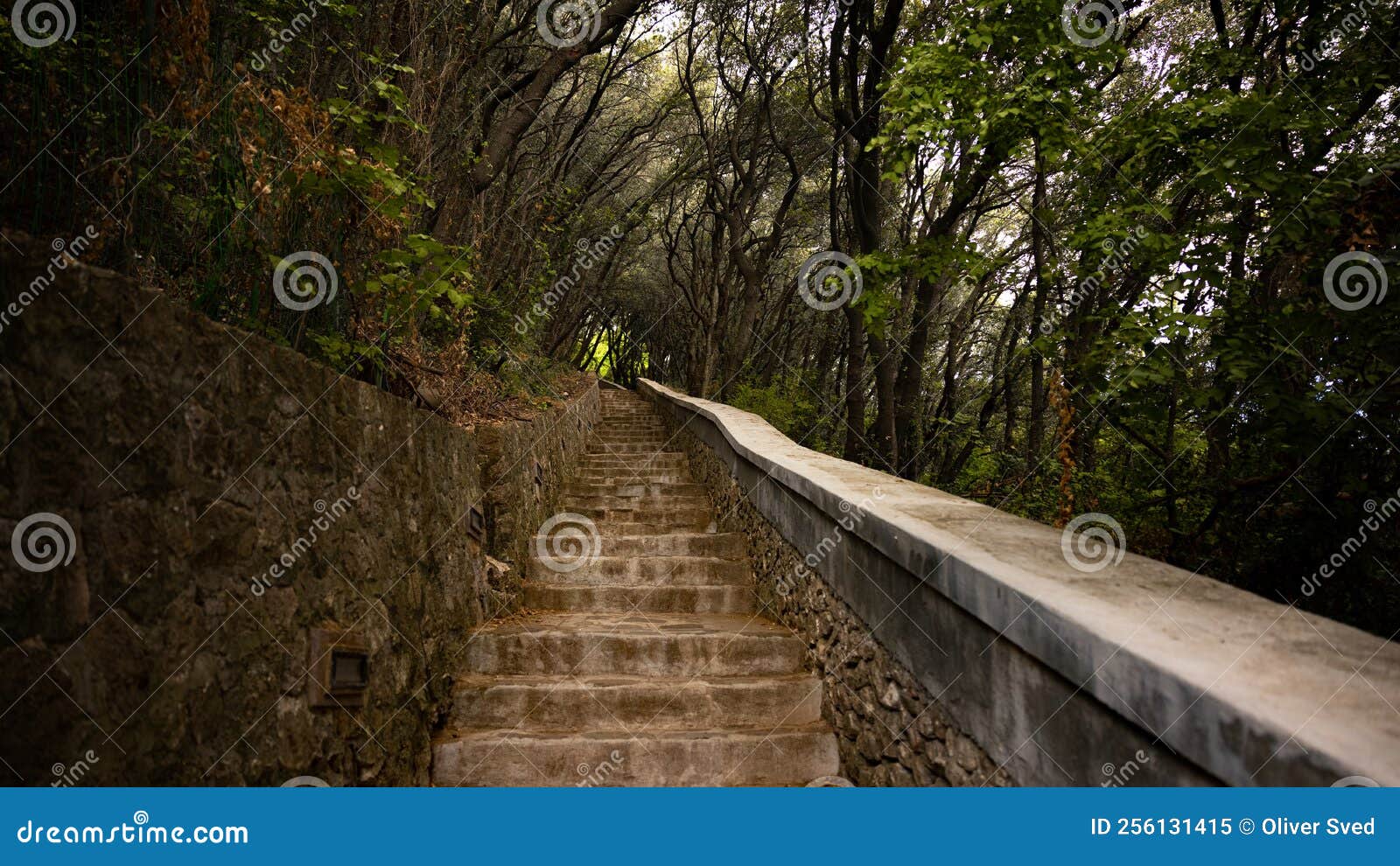 Long Forest Path with Stone Stairs Stock Image - Image of travel, long ...