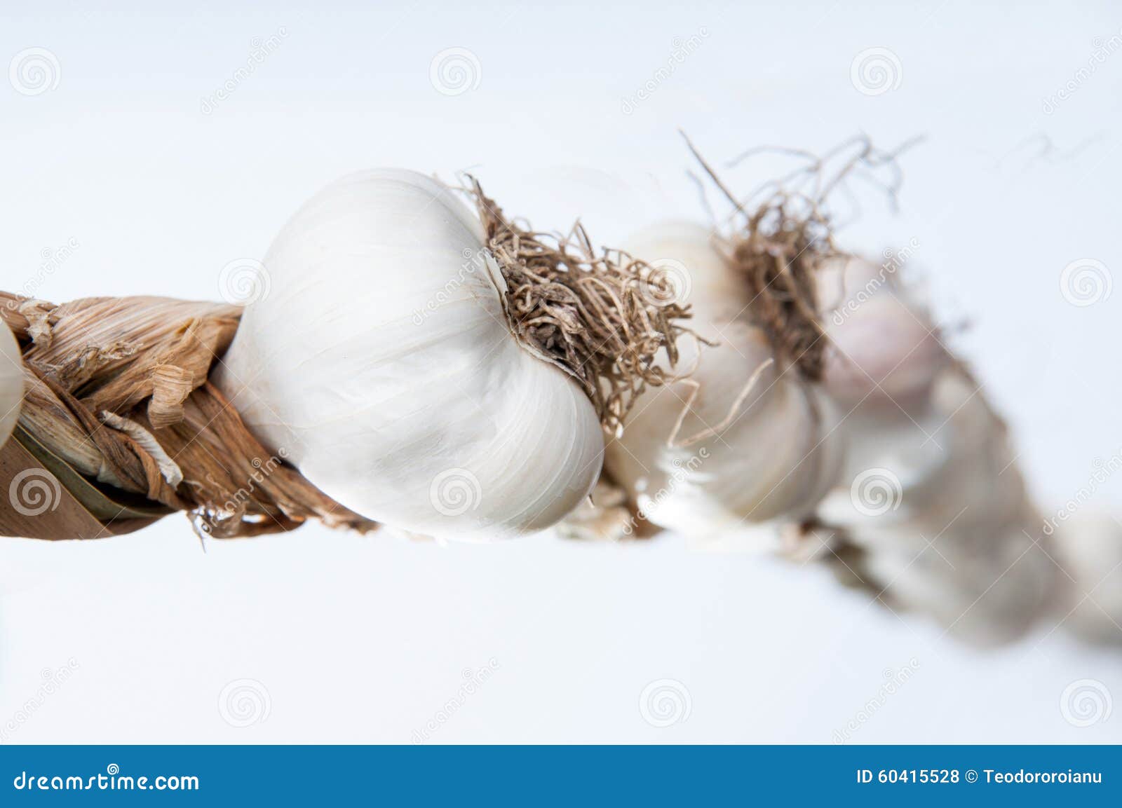 Long garlic string stock photo. Image of meal, braided - 60415528