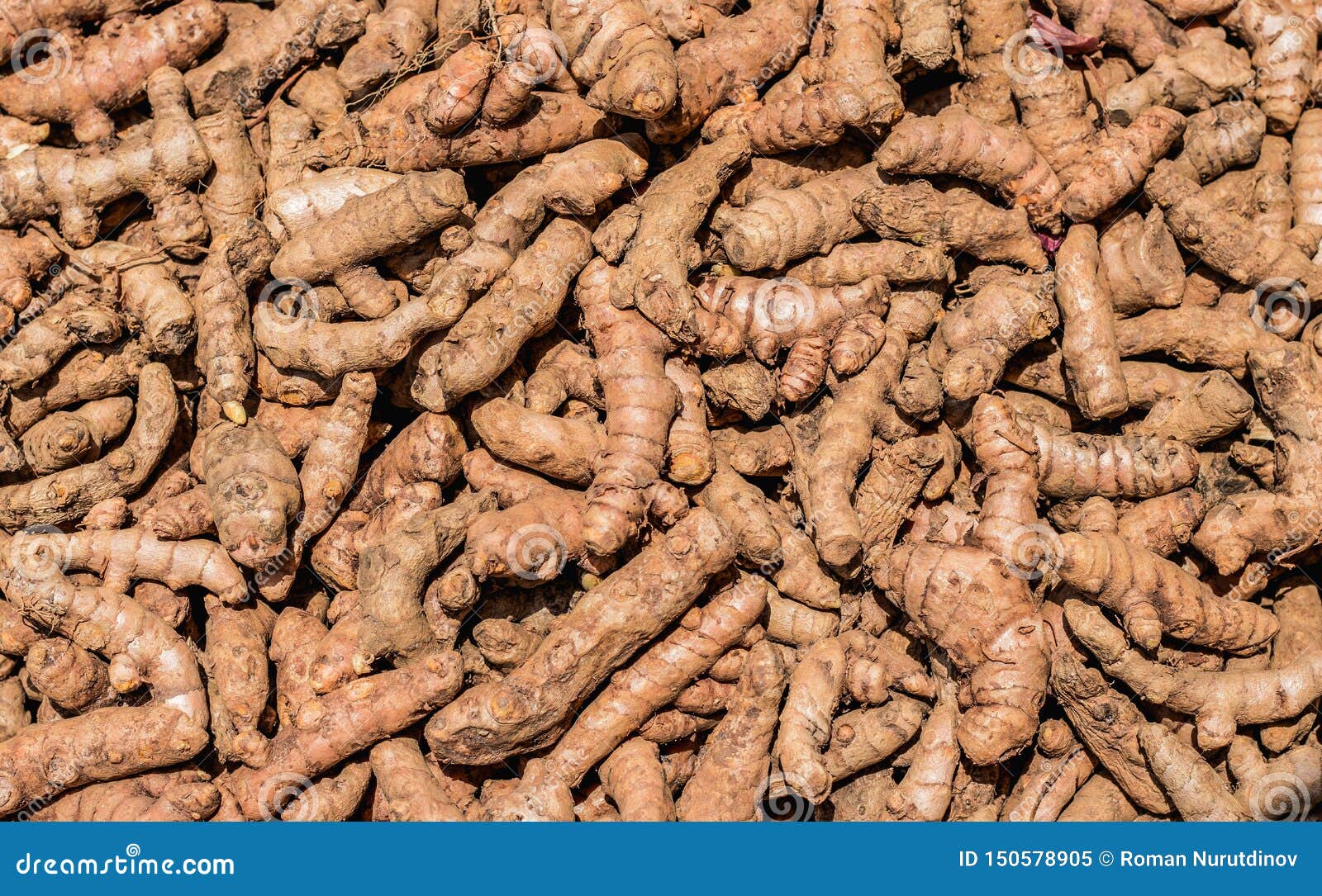 Long Pieces of Ginger Lie in a Heap Stock Image - Image of wasabi, food ...