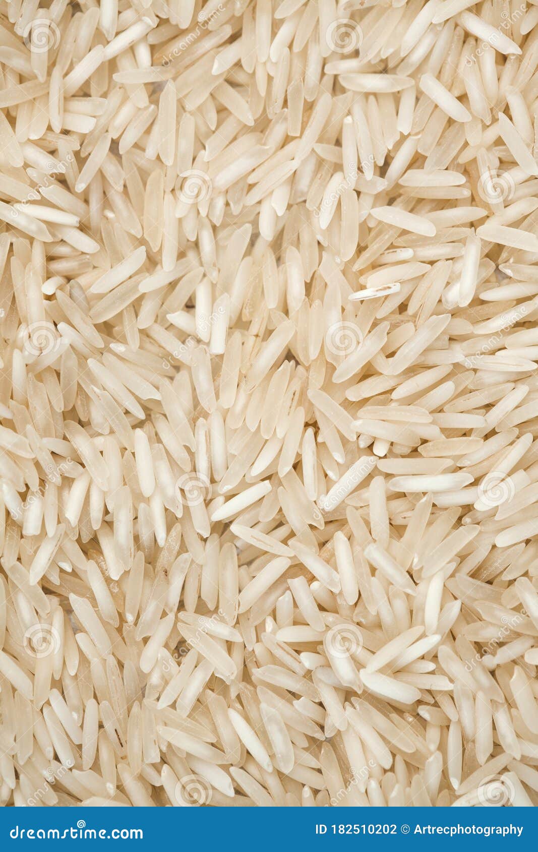Long Grain Brown Rice Seamless Pattern Background Stock Photo - Image ...