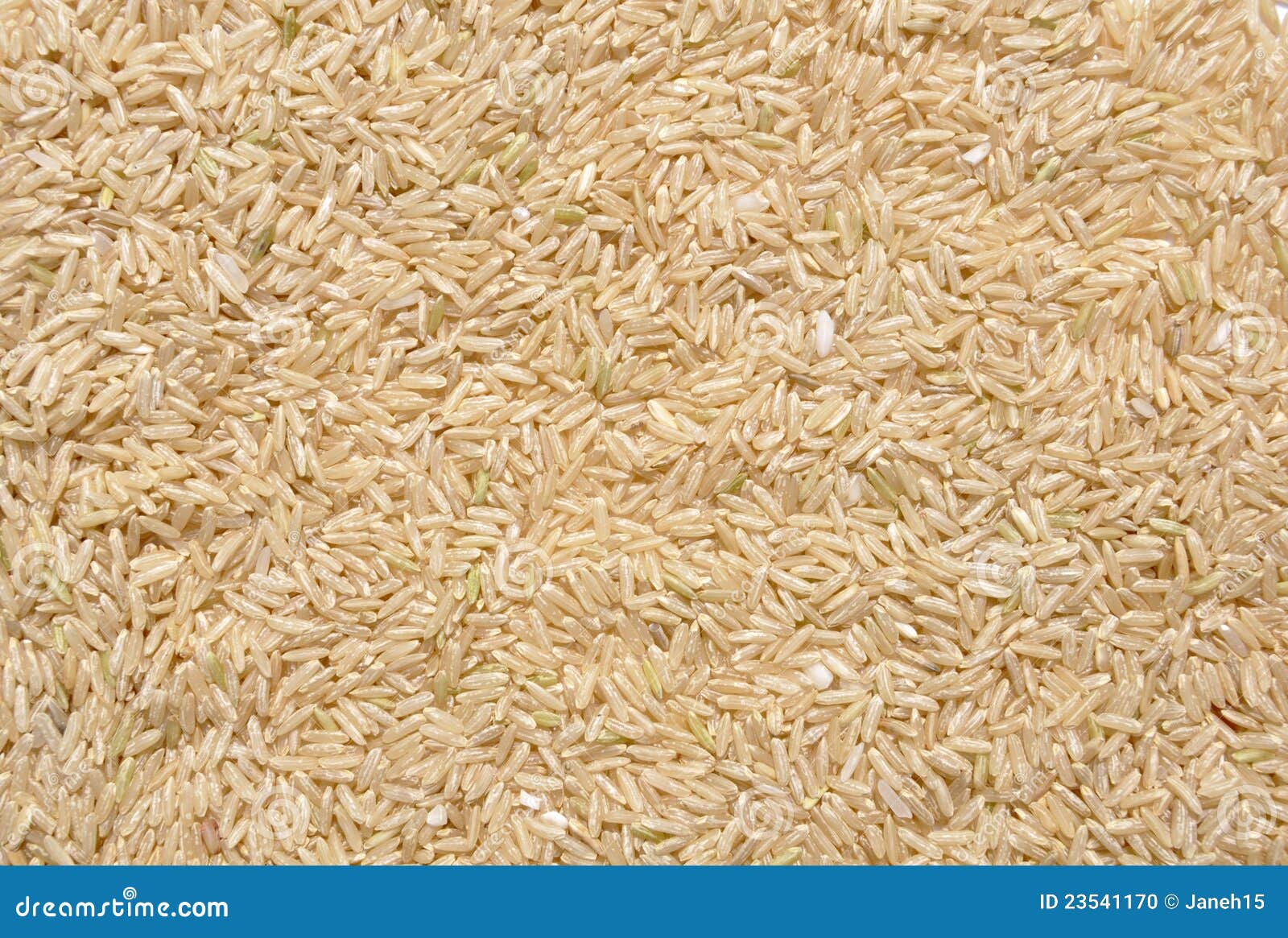 Long grain rice stock photo. Image of grain, cereal, supply - 23541170