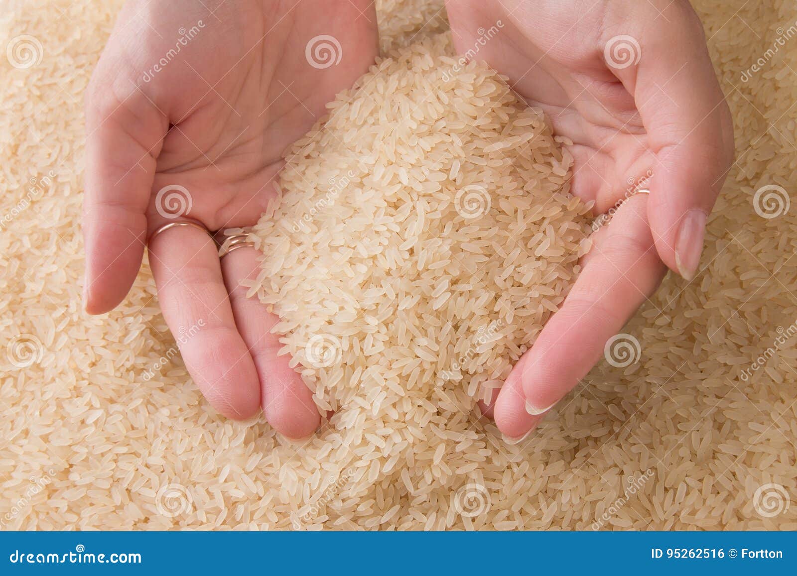 Long grain rice. stock photo. Image of meal, food, asian - 95262516