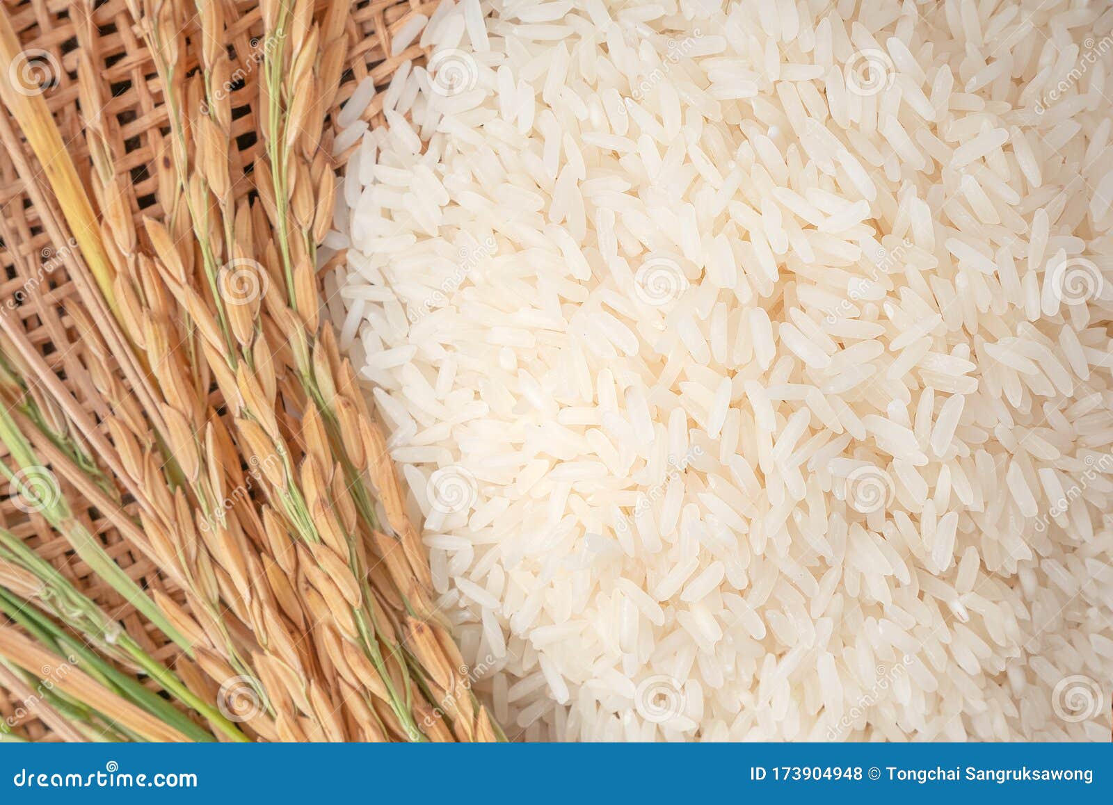 Long Grain of Rice and Rice,White Rice Jasmine Rice Thailand Stock ...