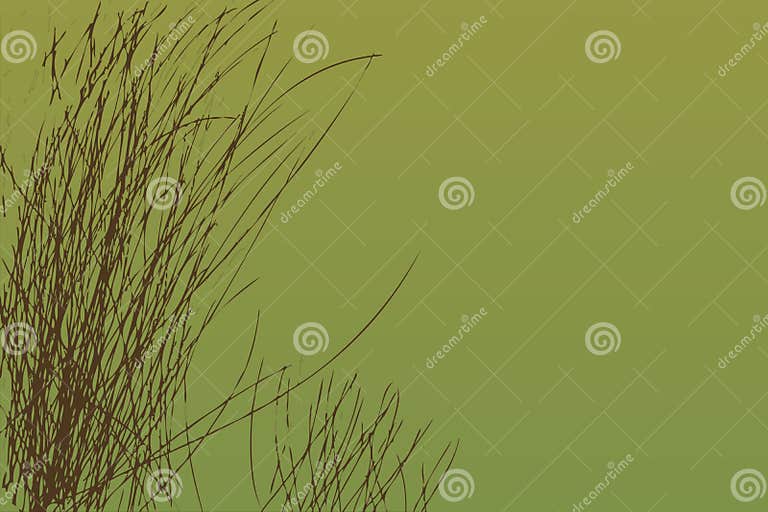 Long Grass stock vector. Illustration of summer, green - 7984662