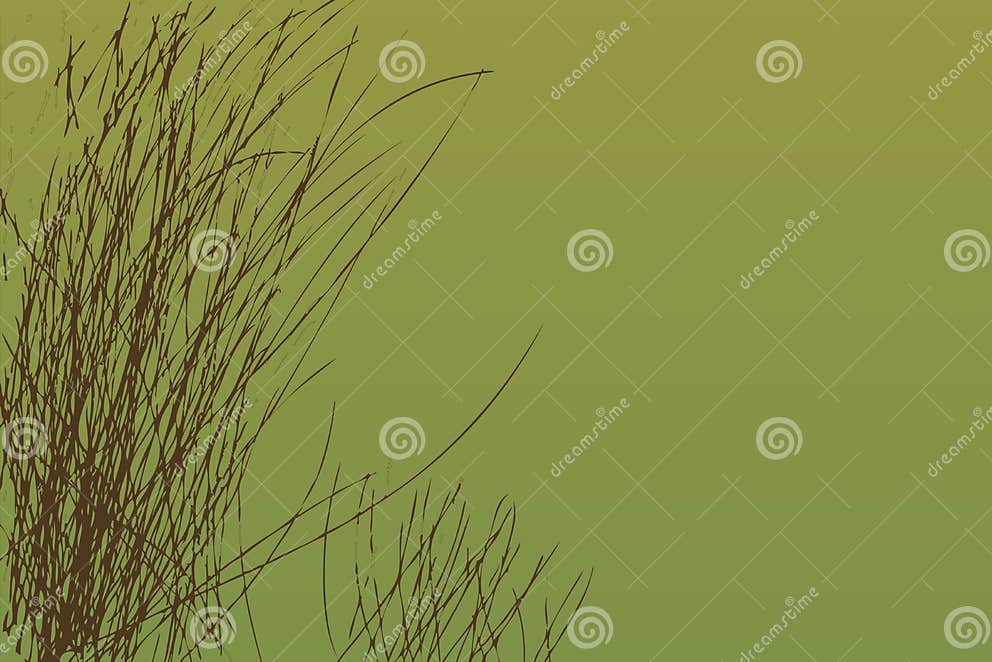 Long Grass stock vector. Illustration of summer, green - 7984662