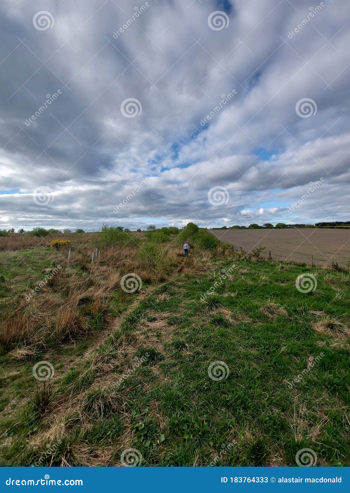 Long grassy hill stock image. Image of blue, hill, tree - 183764333