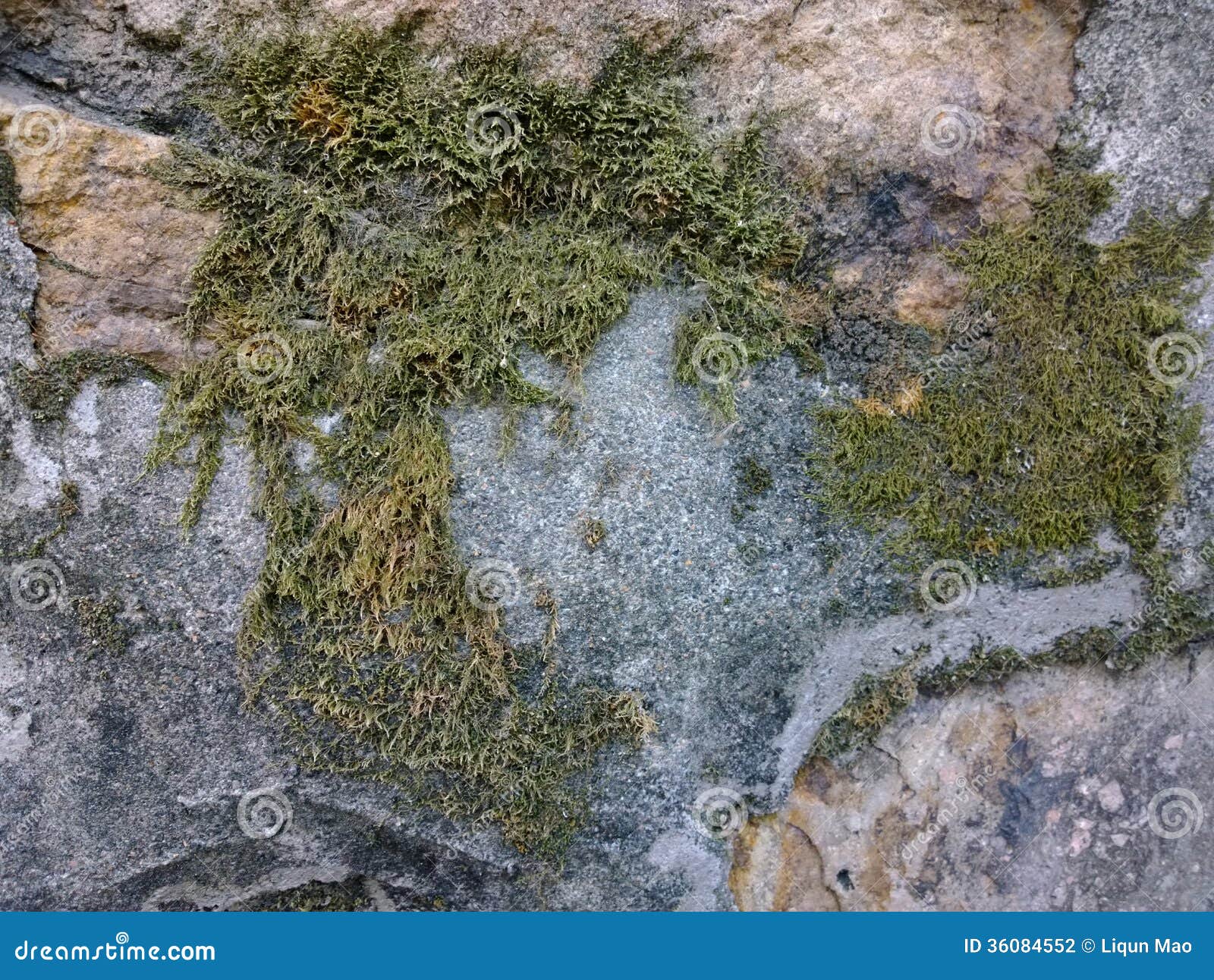 A long green moss rocks stock photo. Image of rocks, yellow - 36084552