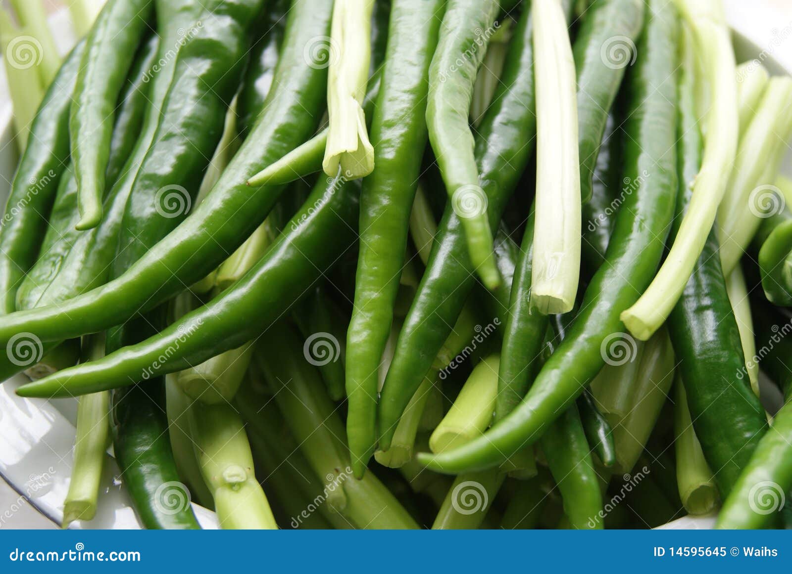 Long green pepper stock image. Image of delicious, pepper - 14595645