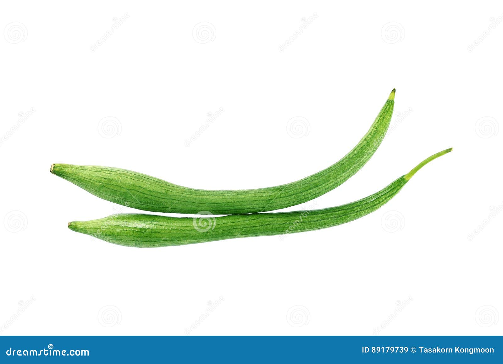 Long Green Smooth Loofah or Snake Gourd Isolated on White Stock Image ...