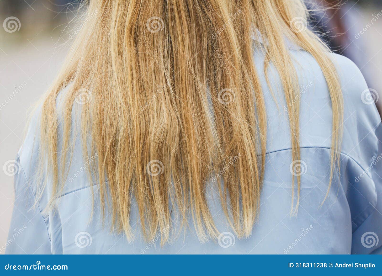 Long Hair on a Blonde& X27;s Head. Back View Stock Photo - Image of ...