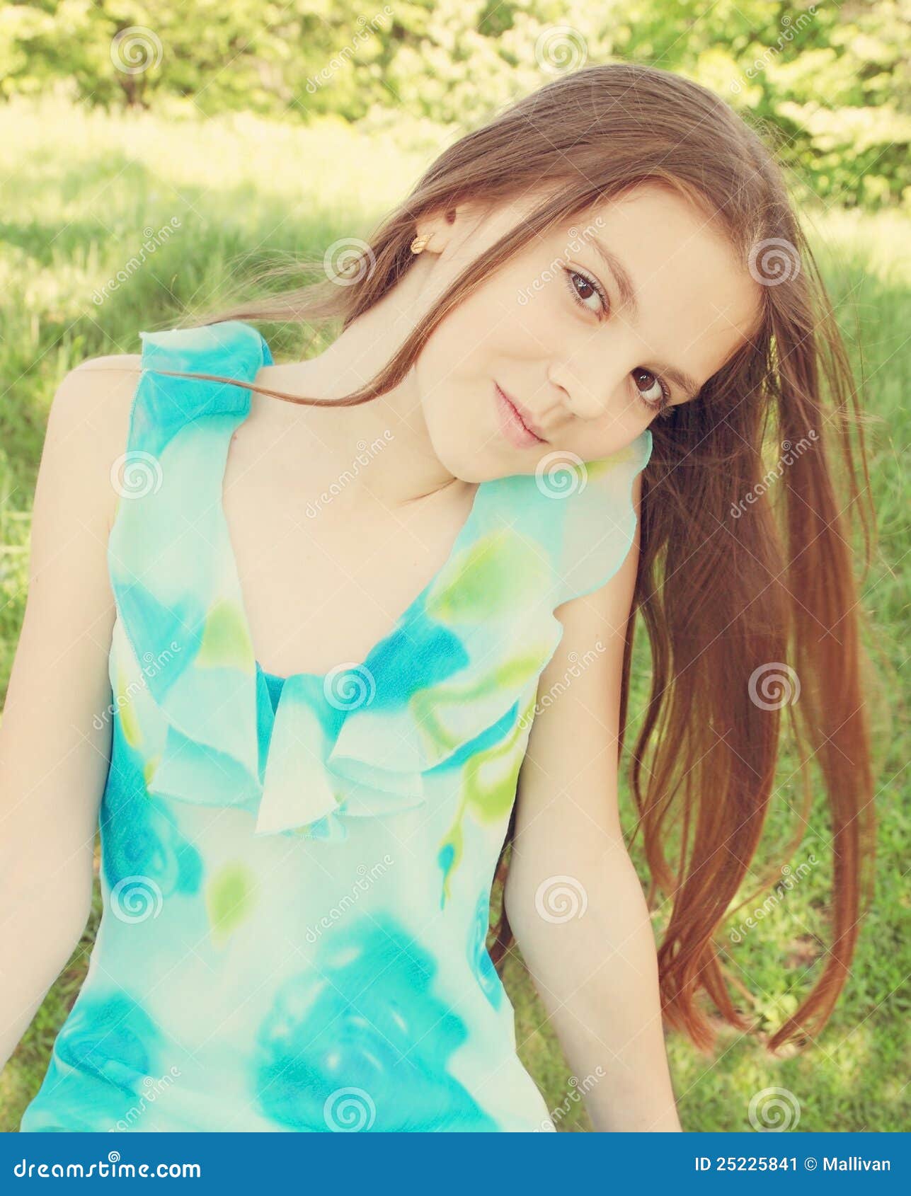 Long-haired girl stock image. Image of brown, caucasian - 25225841