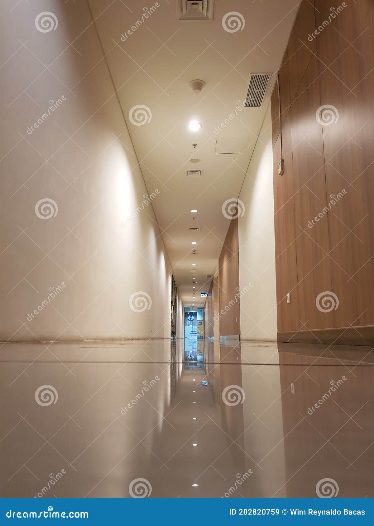 Long hall in office stock image. Image of ceiling, hall - 202820759