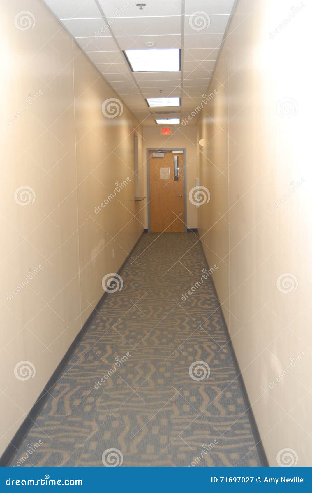 Long Hall to Exit stock image. Image of hallway, fluorescent - 71697027