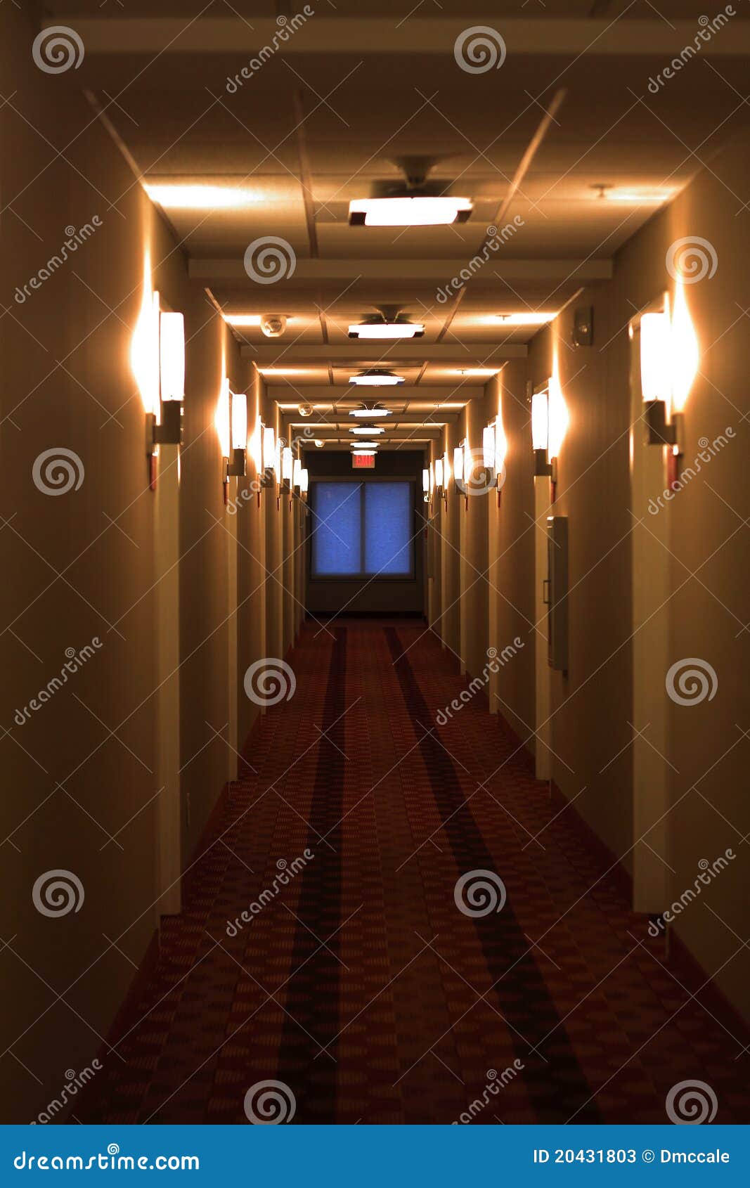 Long hallway stock image. Image of luxury, long, rooms - 20431803