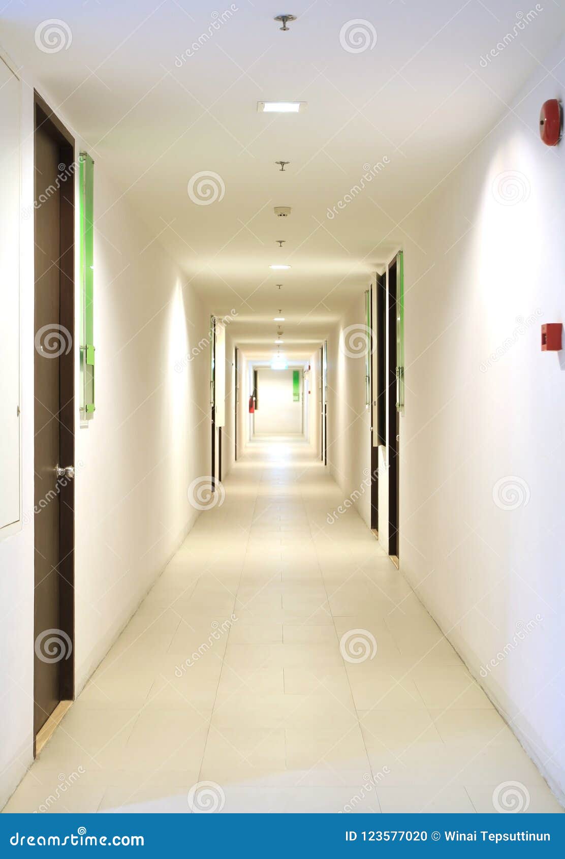 Long Hallway in Condominium Stock Photo - Image of inside, hotel: 123577020