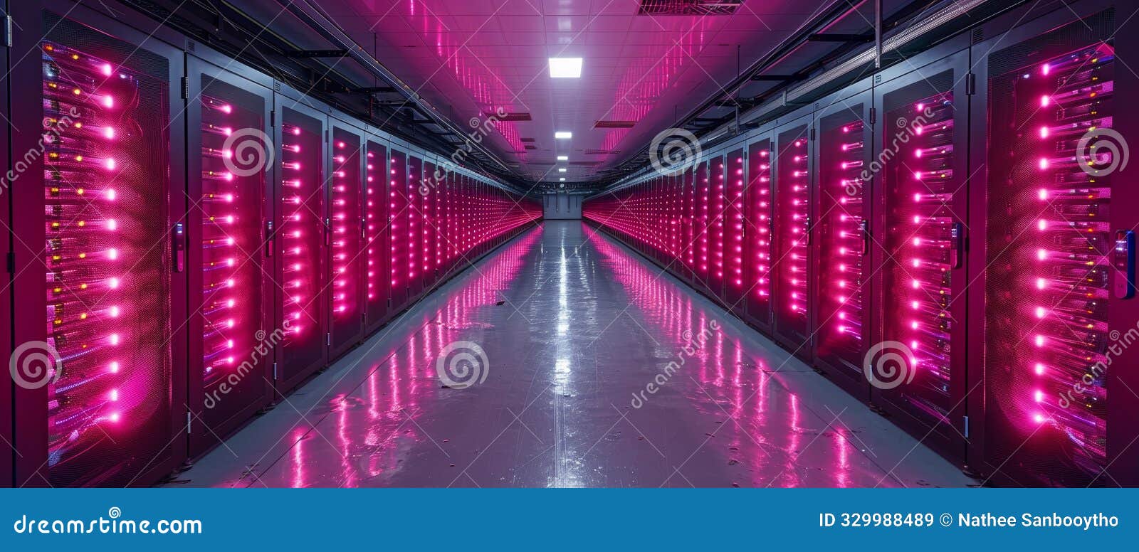 A Long Hallway Lined with Glowing Pink Server Racks in a Data Center ...
