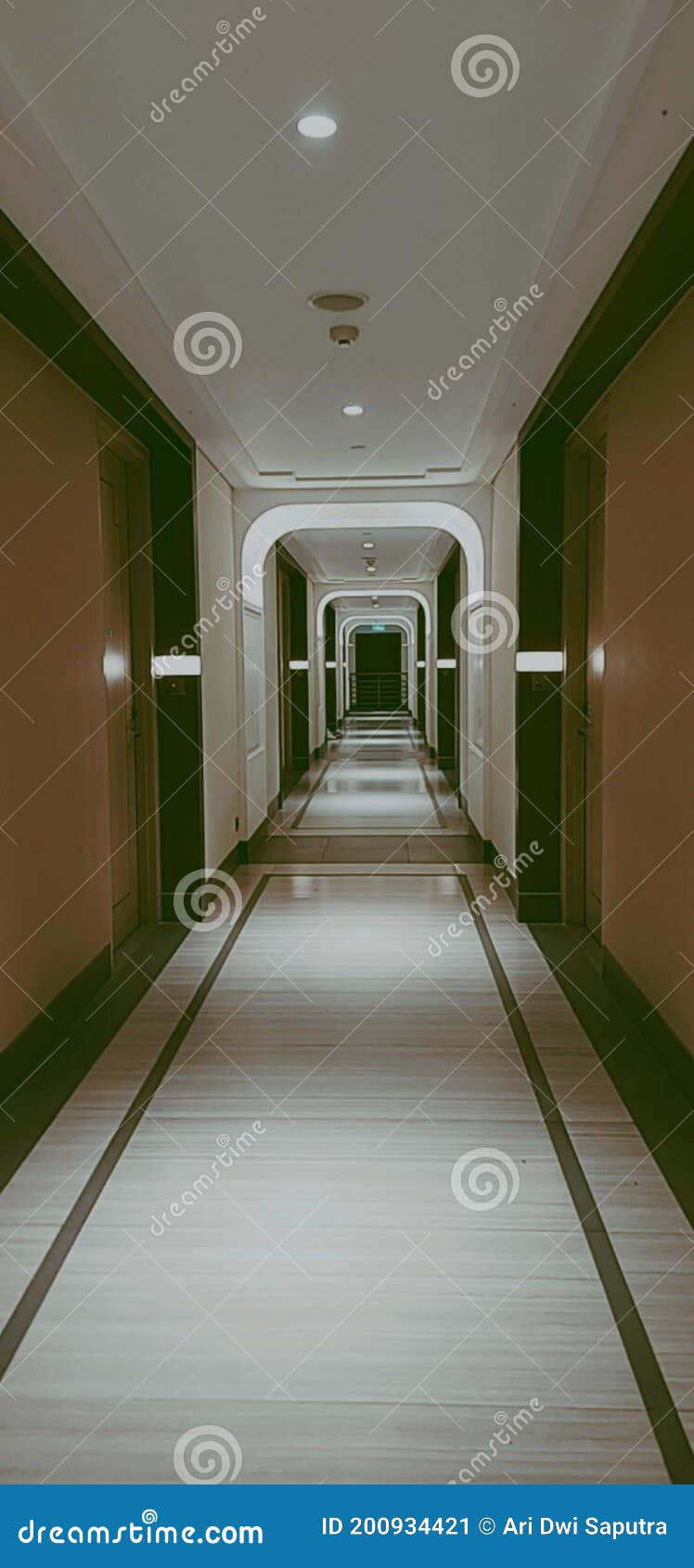 Long hallway stock image. Image of home, house, architecture - 200934421