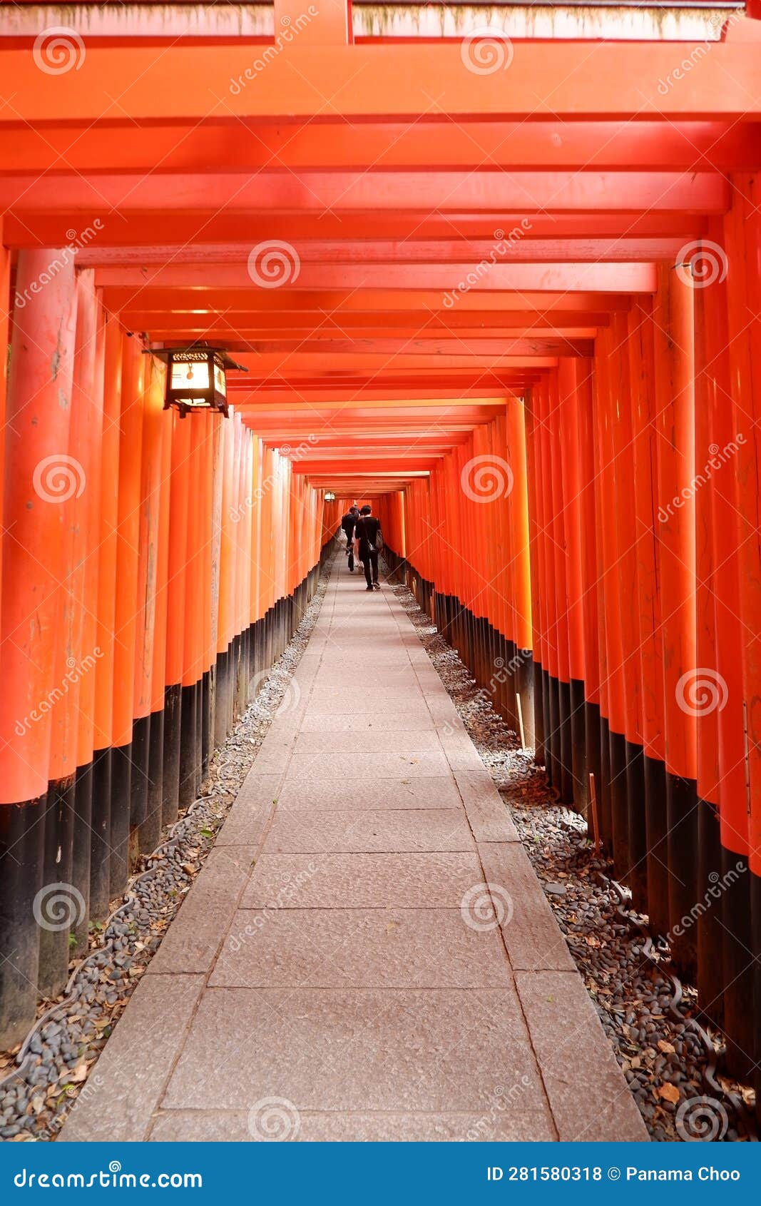 Long Hallway in To Lucky Fox Legenda Stock Photo - Image of legenda ...