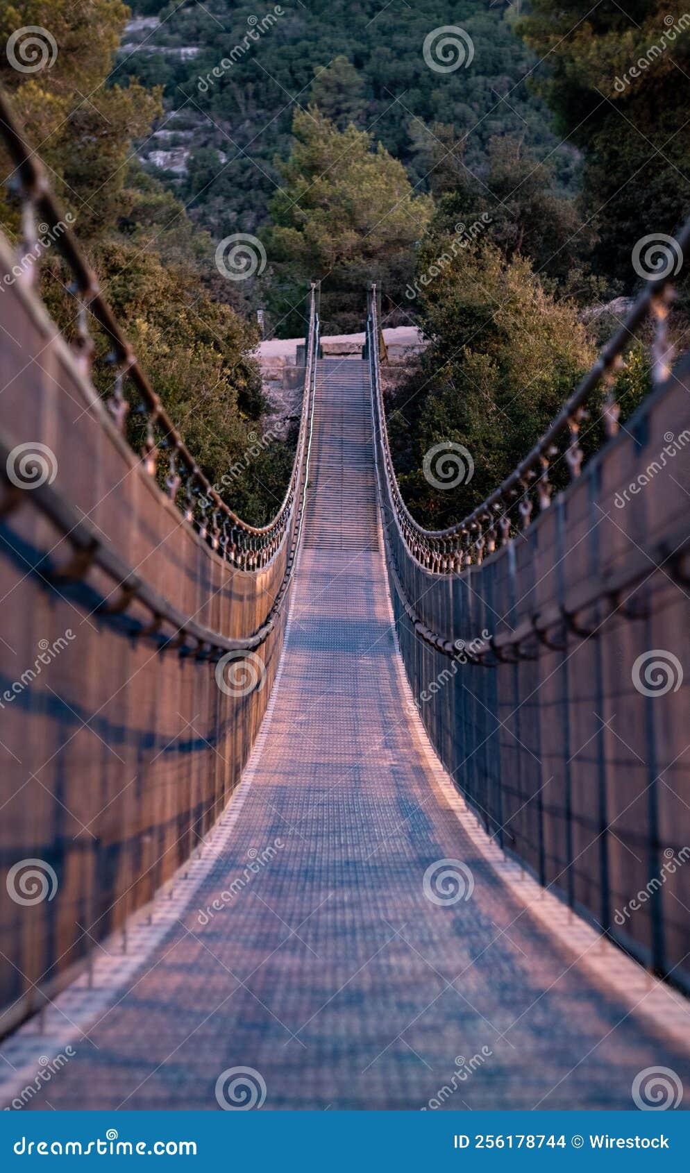 Long Hanging Bridge Heading into a Forest, Vertical Shot Stock Photo ...