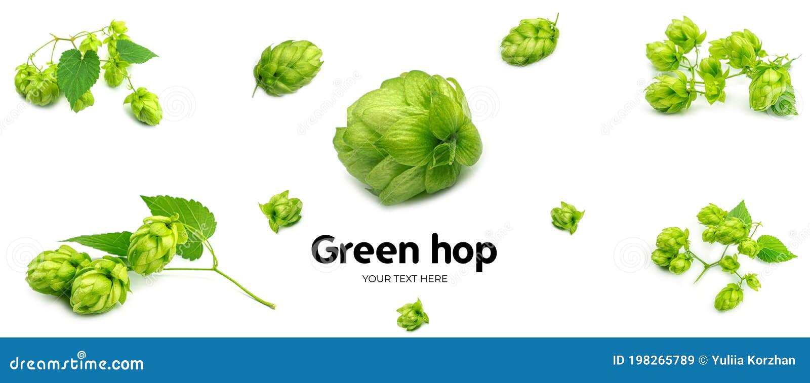 Long Header Banner Format. Panorama Website Header Banner Stock Image ...