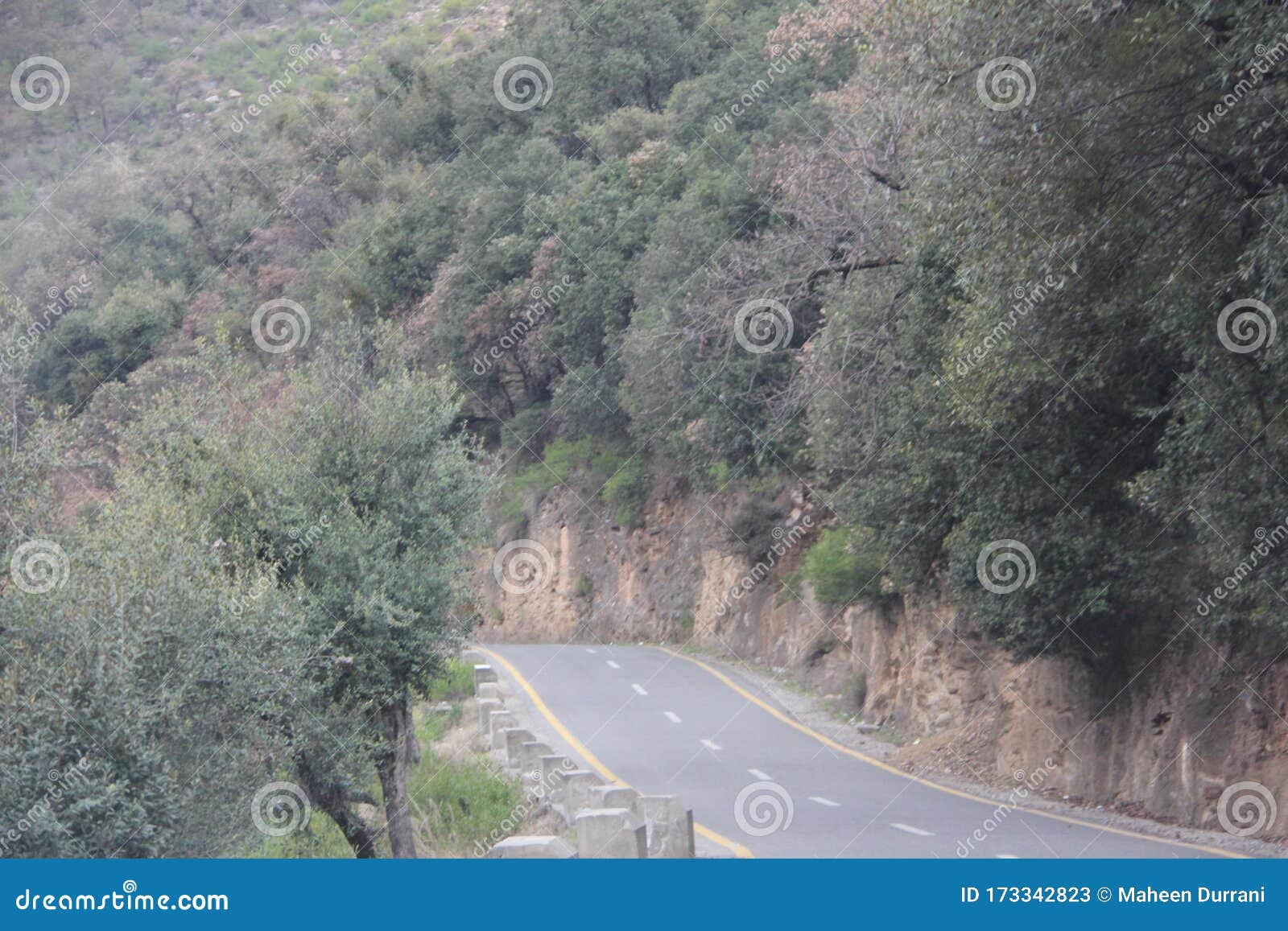 Long Highway Road with Green Trees Stock Image - Image of freeway ...