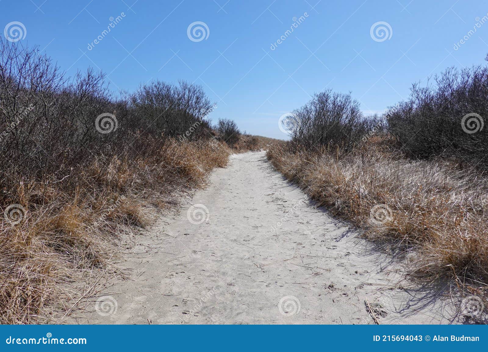 Long Horizontal View of a Curved Sandy Trail through Brown Tall Grass ...