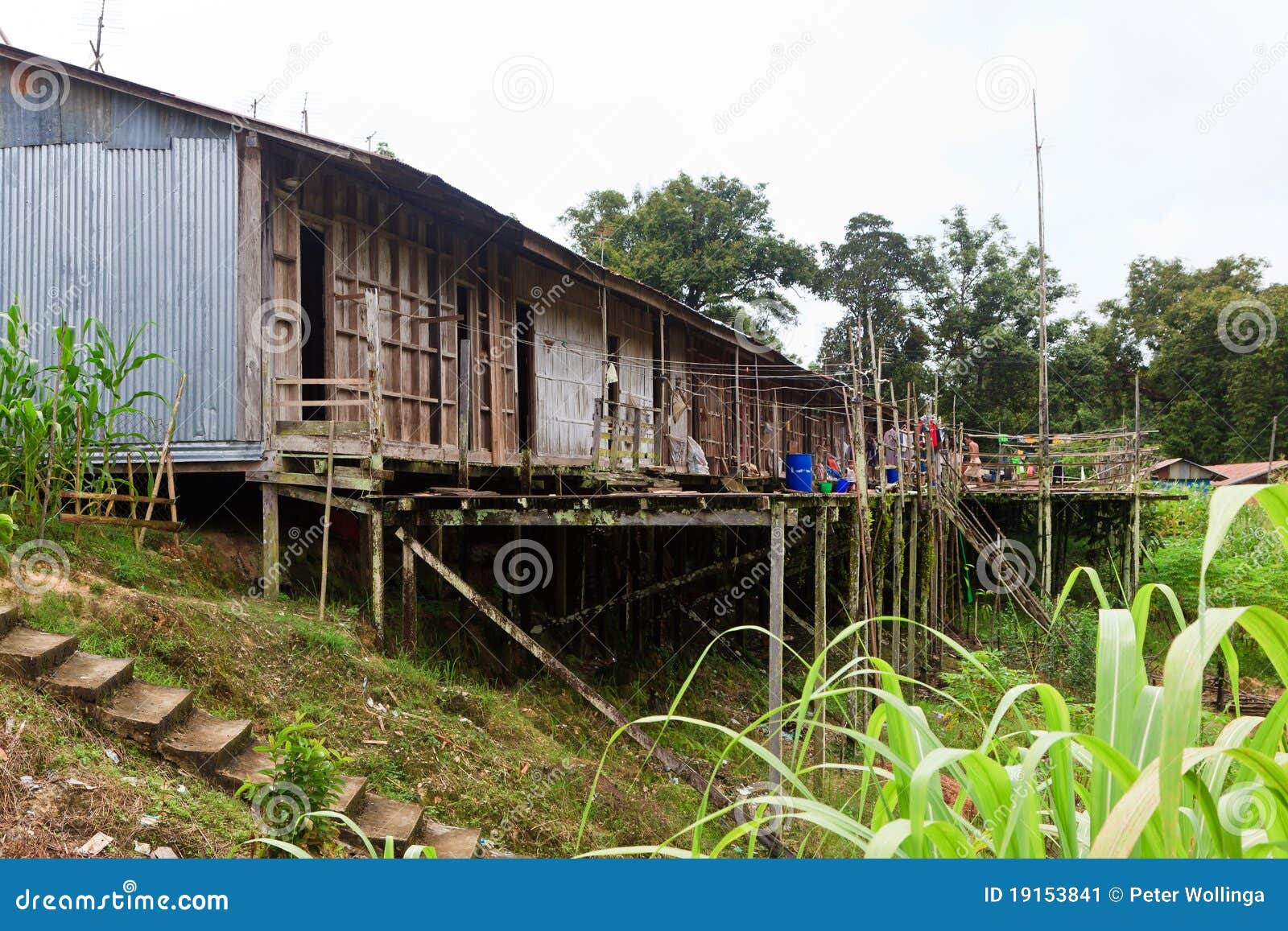 Long House of the Iban Tribe Stock Image - Image of native, iban: 19153841