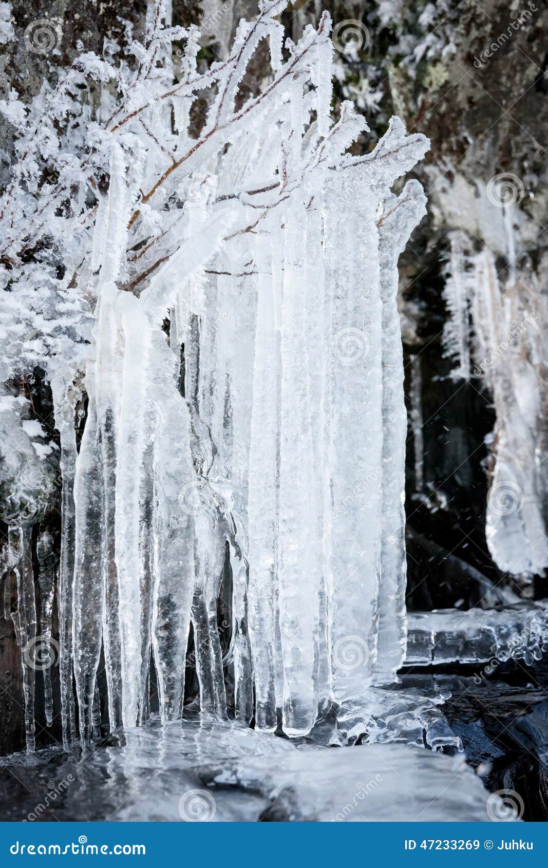 Long Icicles Hanging from Tree Branches Stock Image - Image of lake ...
