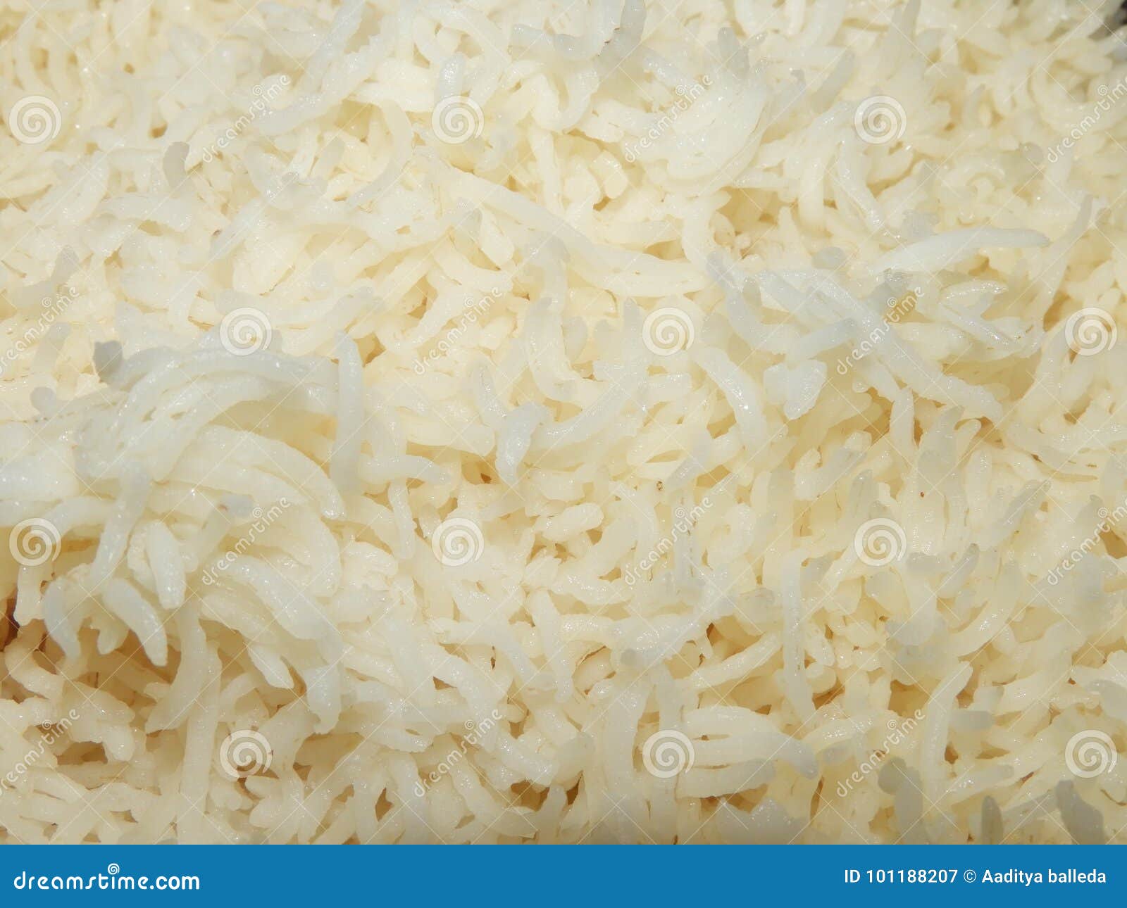 Long basmati rice stock image. Image of basmati, wheat - 101188207