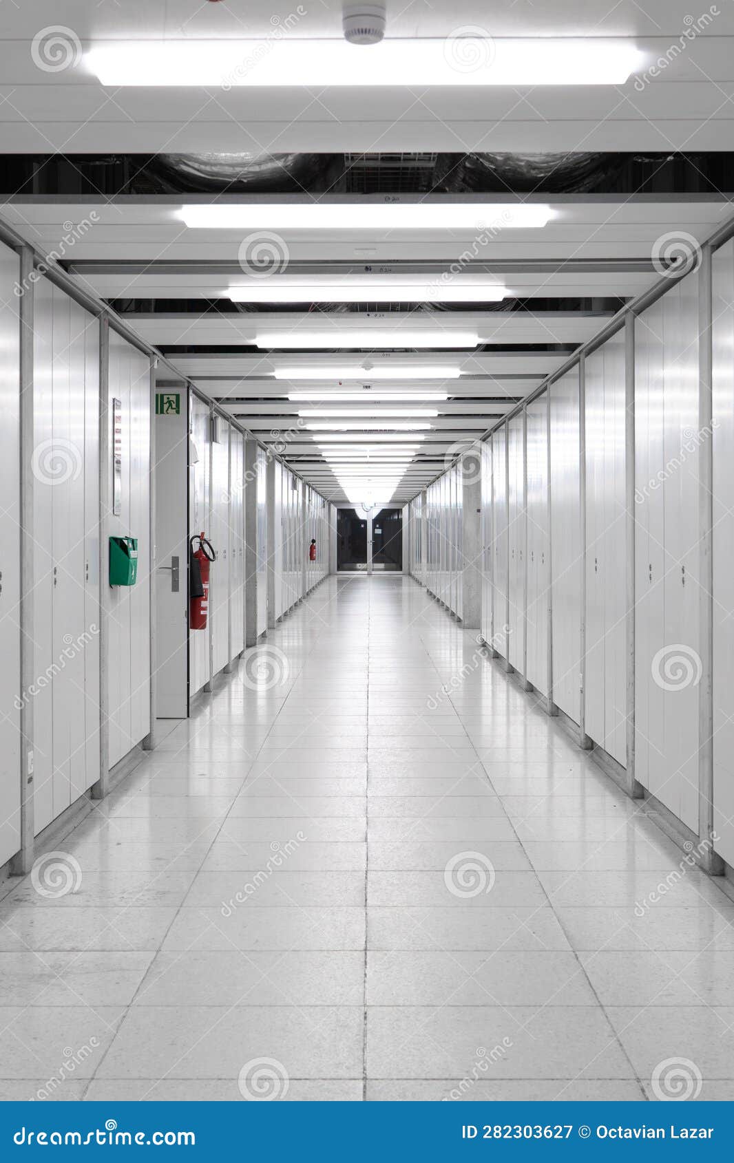 Long Interior Empty Corridor Hallway Illuminated by Neon Lights with ...