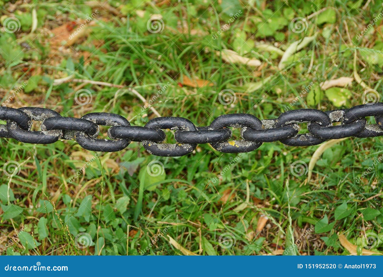 Long Iron Chain on Green Grass Outside Stock Photo - Image of link ...