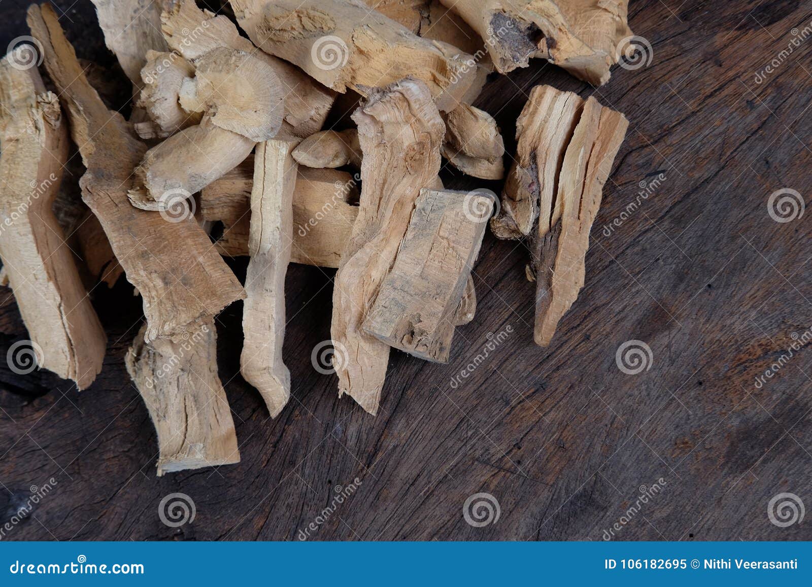Long Jack Roots stock image. Image of herbal, healthy - 106182695