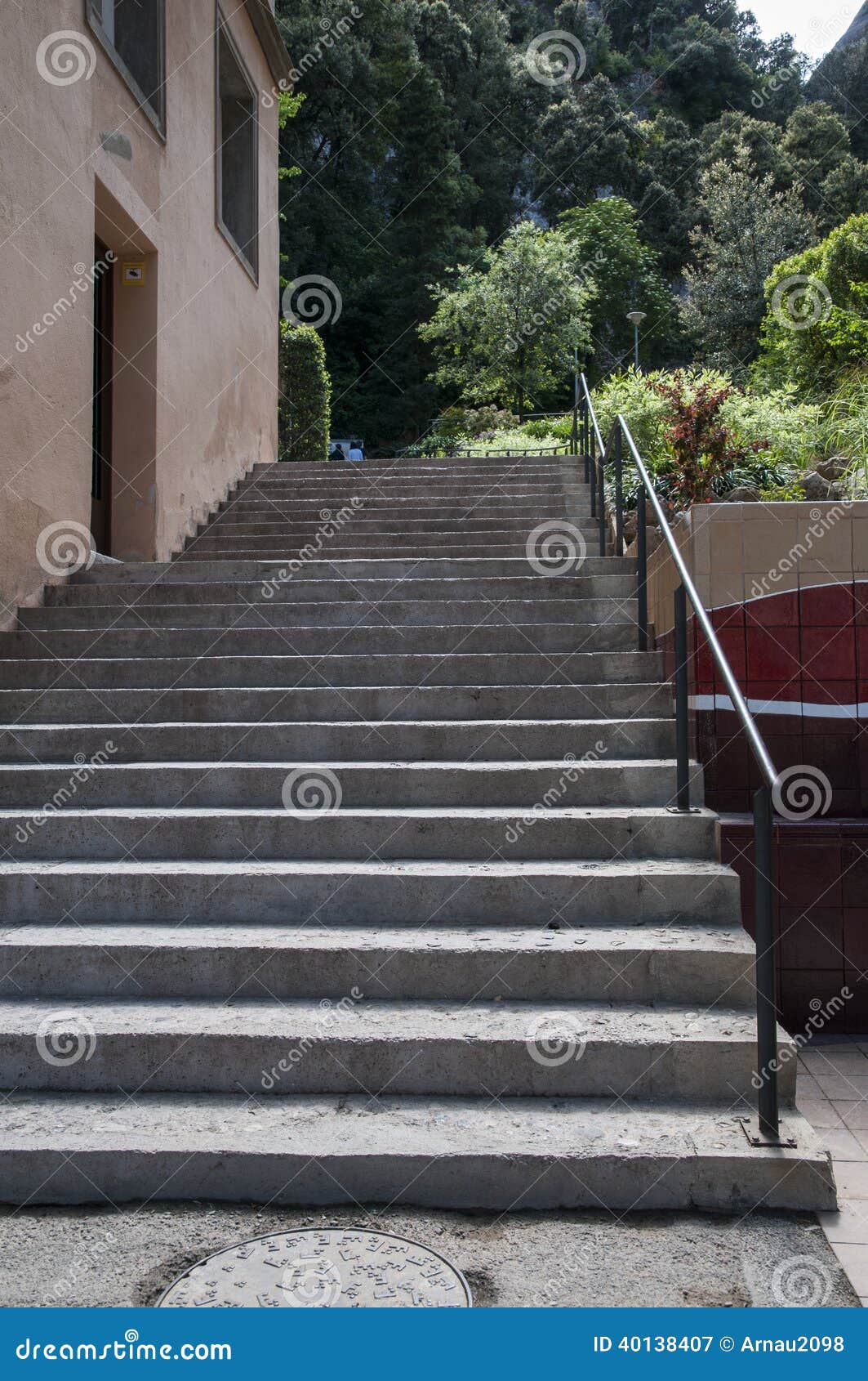 Long ladders stock image. Image of ladder, green, nature - 40138407