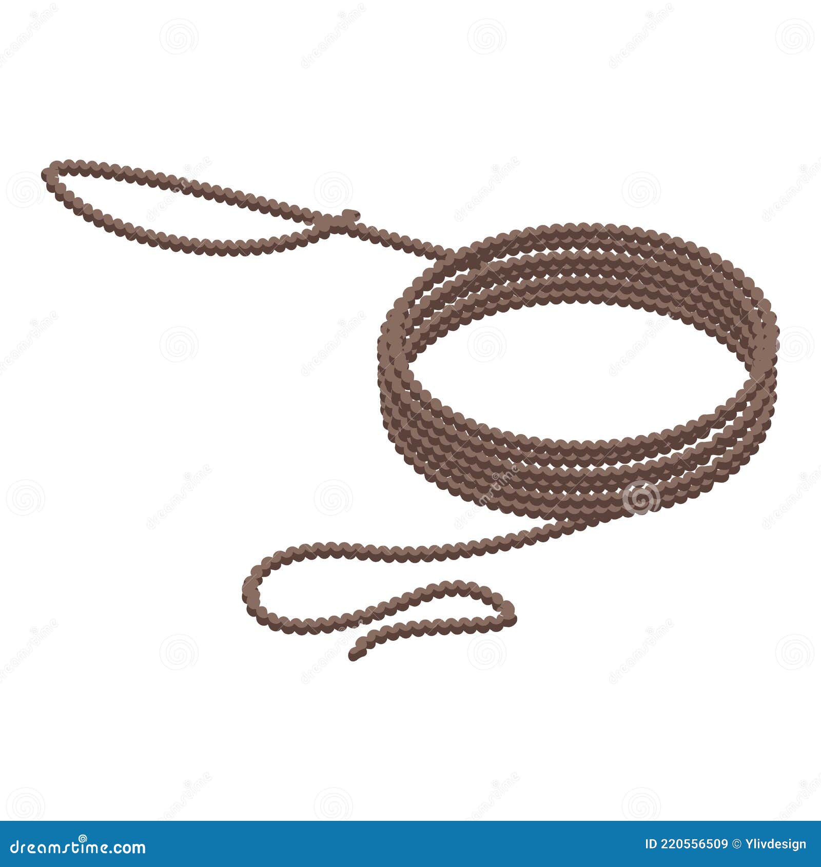 Long Lasso Icon, Isometric Style Stock Vector - Illustration of border ...