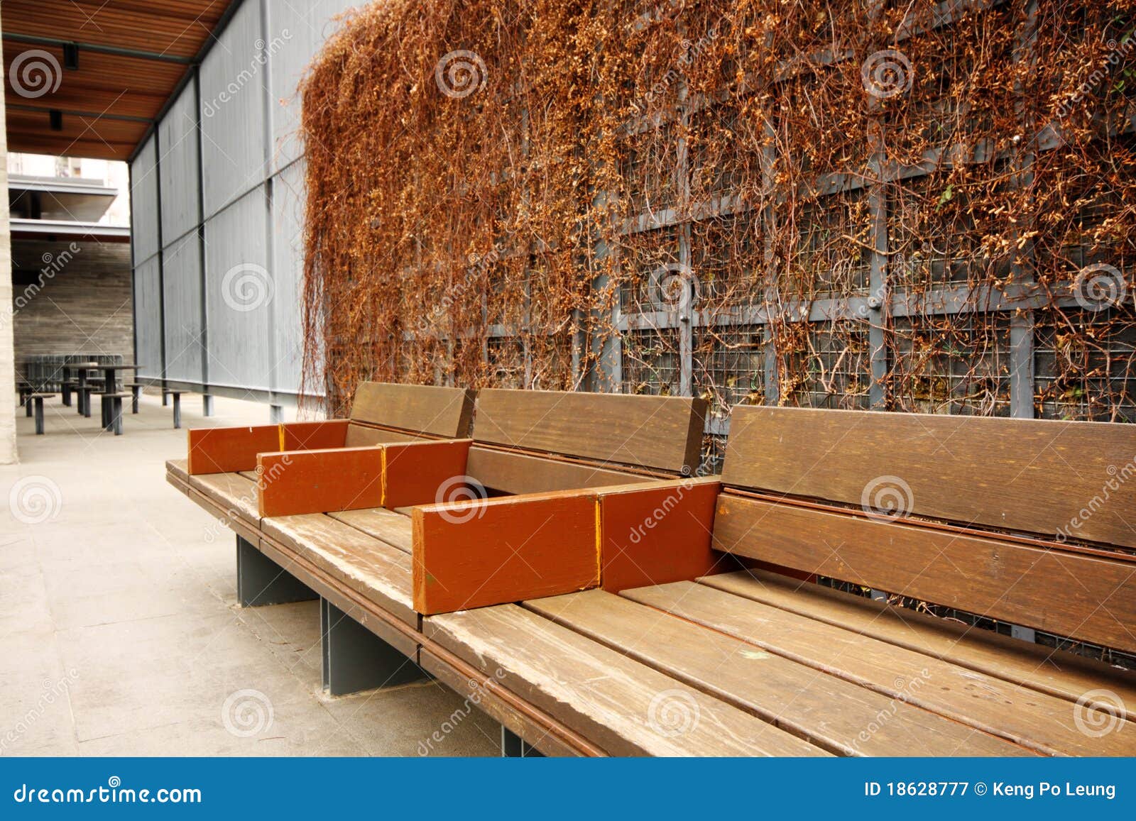 Long lawn in park stock image. Image of fall, landscape - 18628777