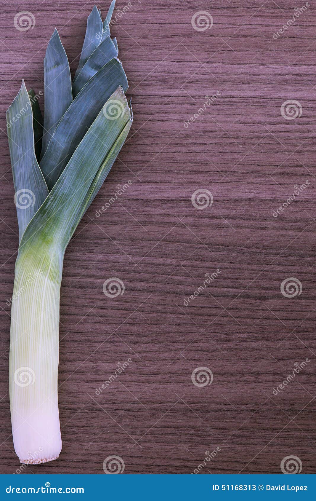 Long leek stock image. Image of bunch, food, healthy - 51168313