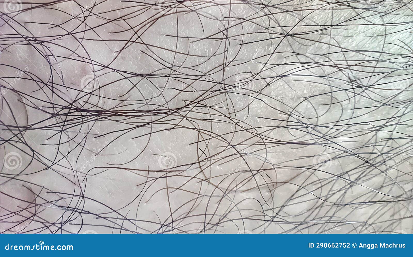 Long leg hair of men stock photo. Image of teksture - 290662752