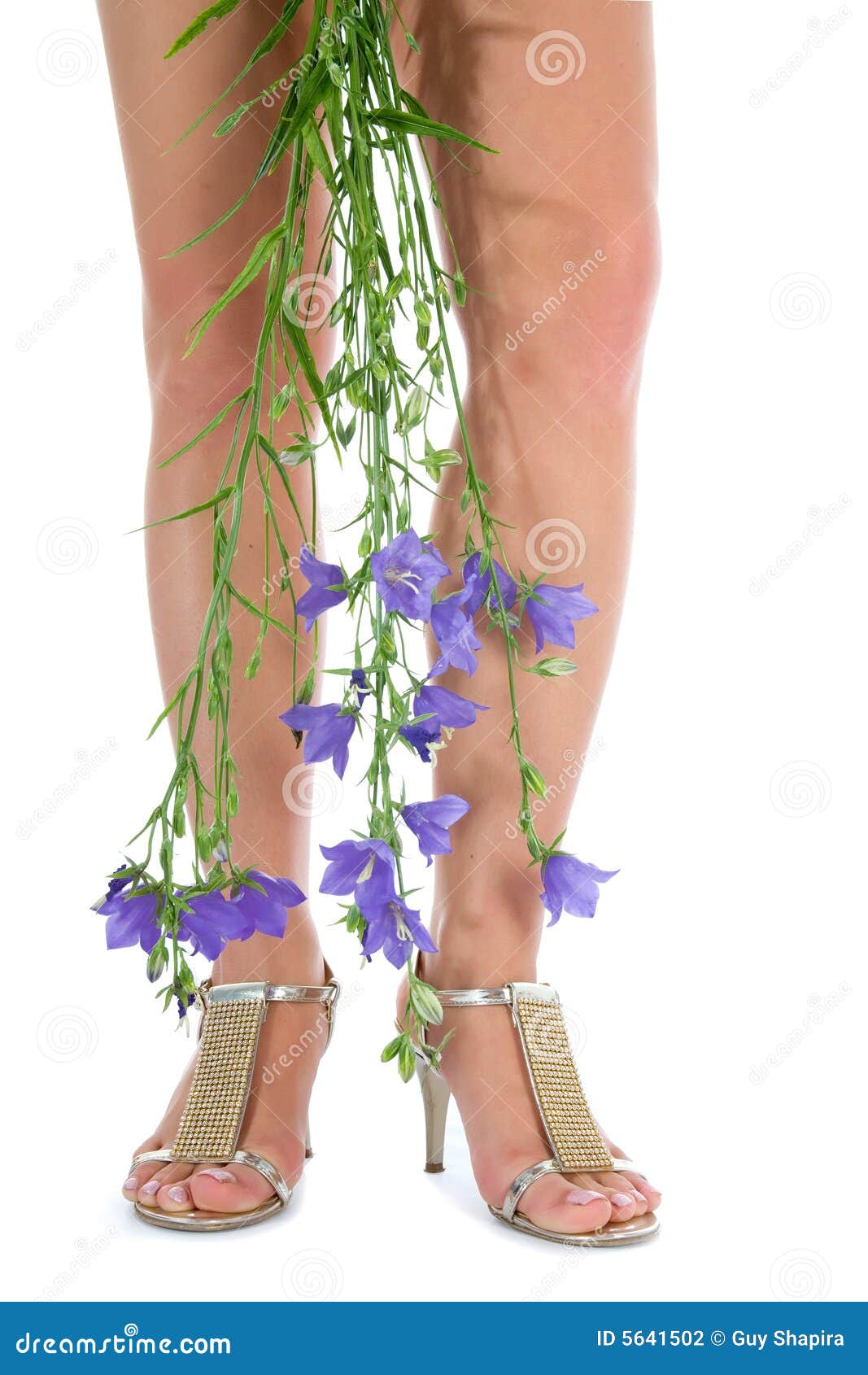 Long Legs on High Heels with Flowers Stock Photo - Image of figure ...