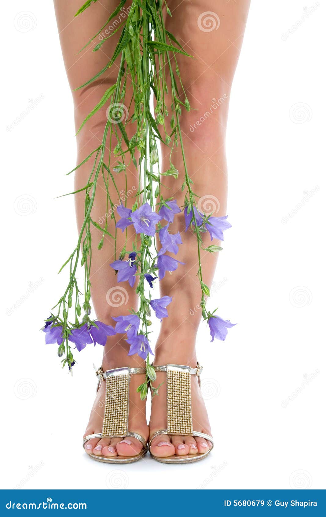 Long Legs on High Heels with Flowers Stock Image - Image of elegant ...