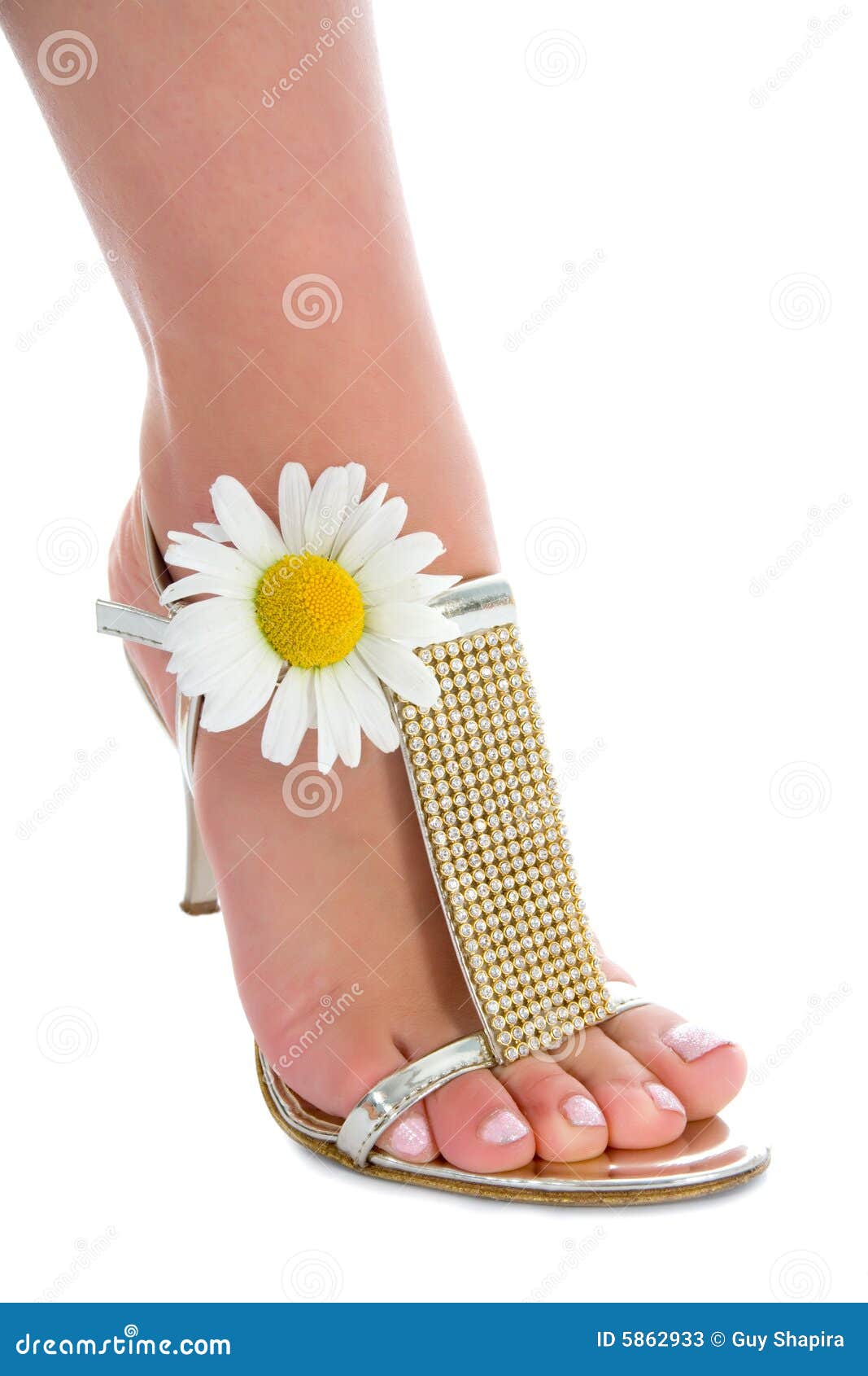 Long Legs on High Heels with Flowers Stock Image - Image of elegant ...