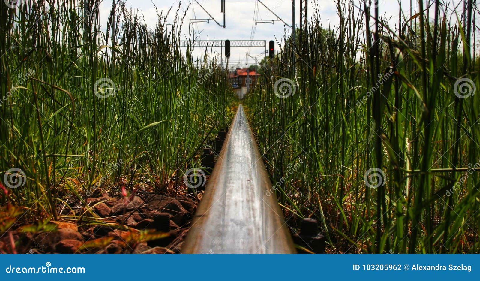 Long line stock photo. Image of line, green, transport - 103205962