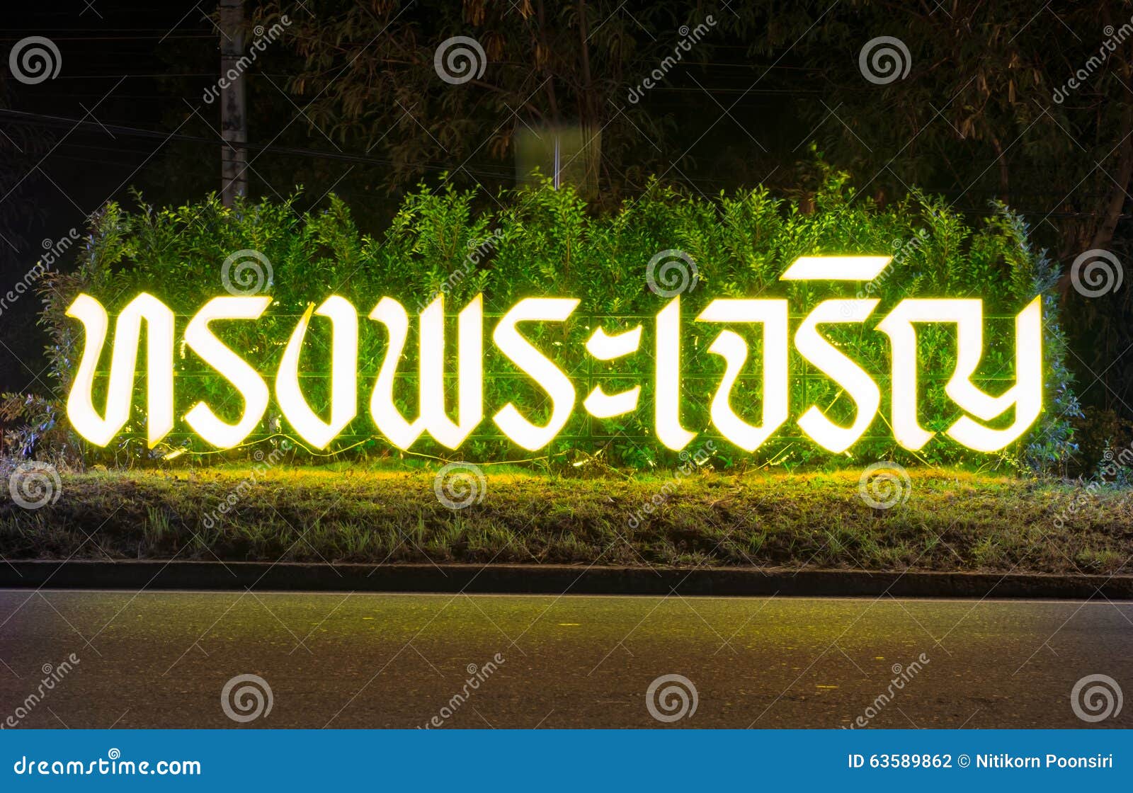 Long live the king stock photo. Image of abstract, live - 63589862