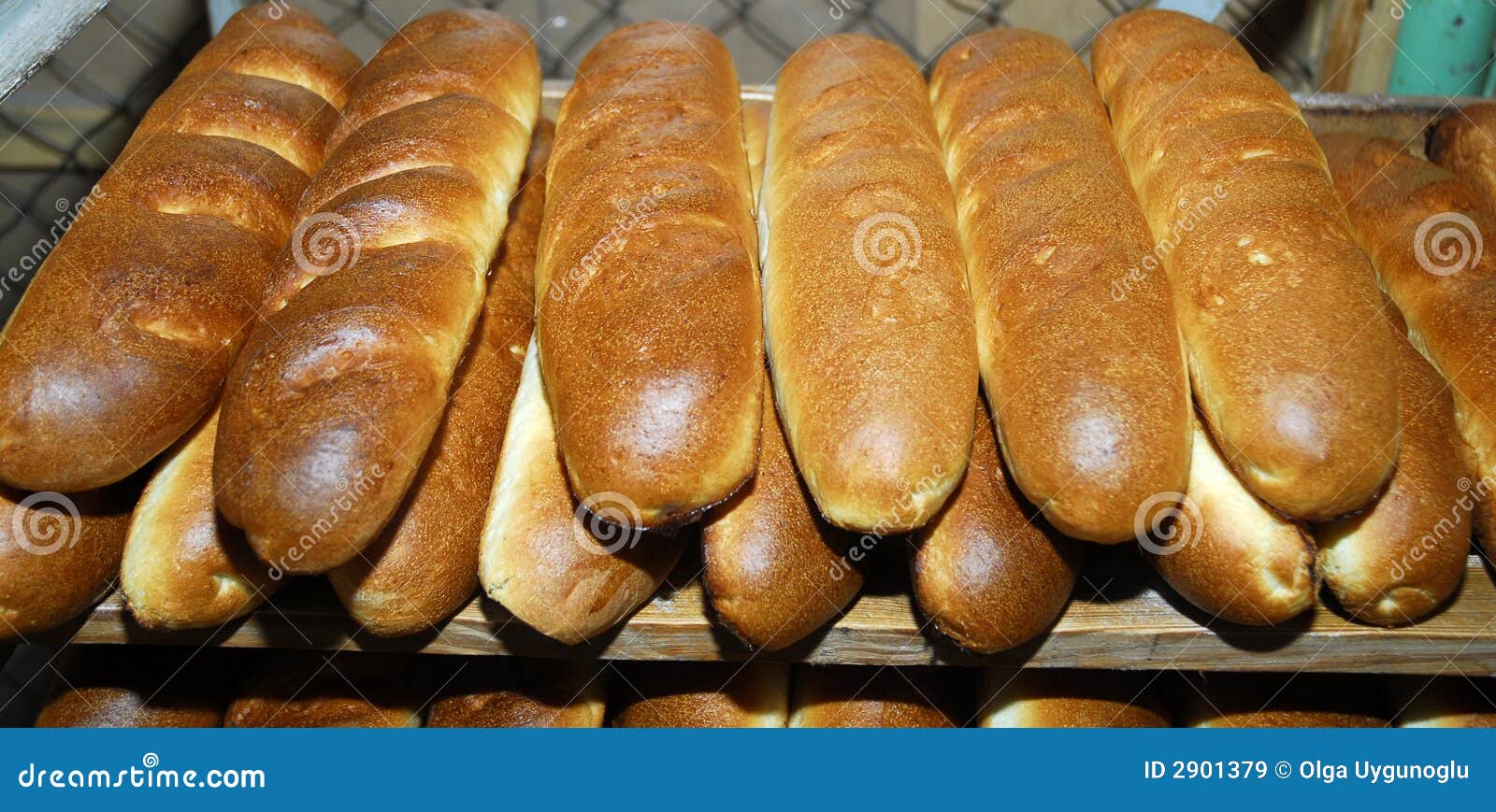 Long loafs stock image. Image of cook, oven, circle, dough - 2901379