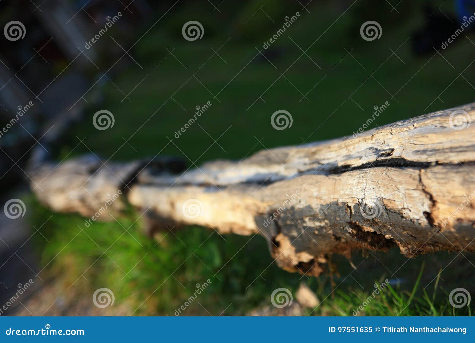 Long log hedge stock image. Image of yard, enclose, long - 97551635