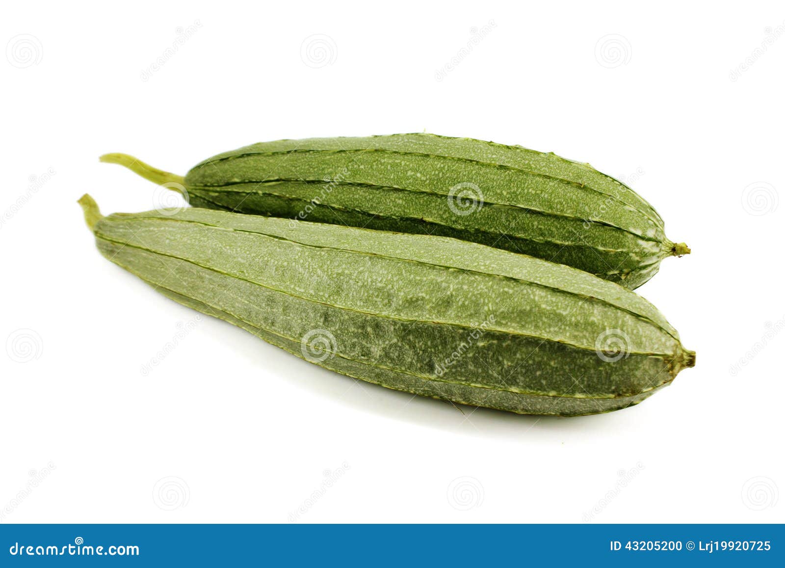 Long loofah stock photo. Image of plant, taste, cuisine - 43205200