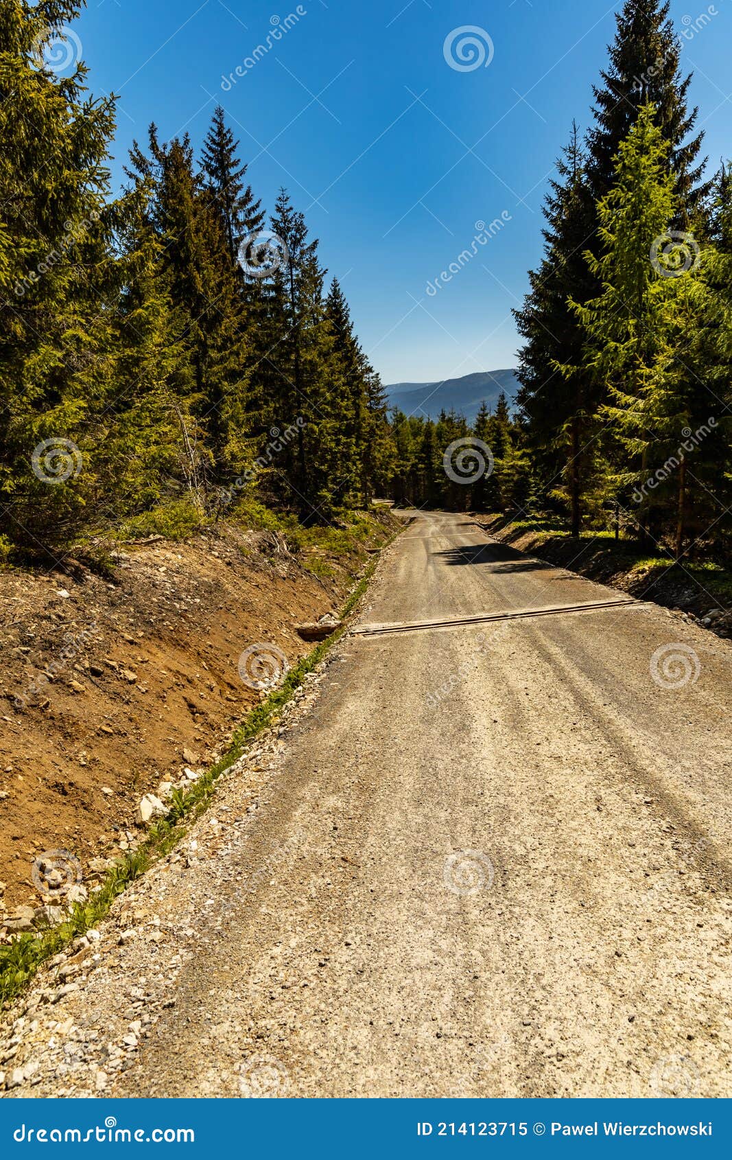 Long Mountain Trail To Peak Of Sniezka The Highest Point Of Giant ...