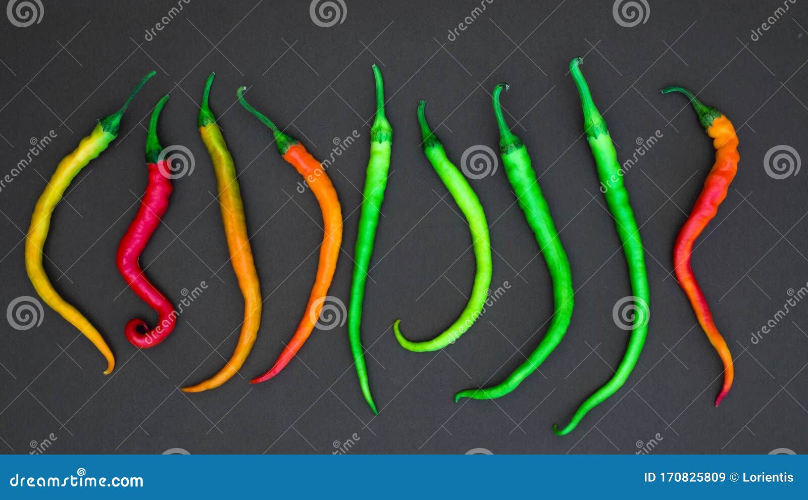 Long Multicolor Chilli Pepper Stock Image - Image of ingredient ...